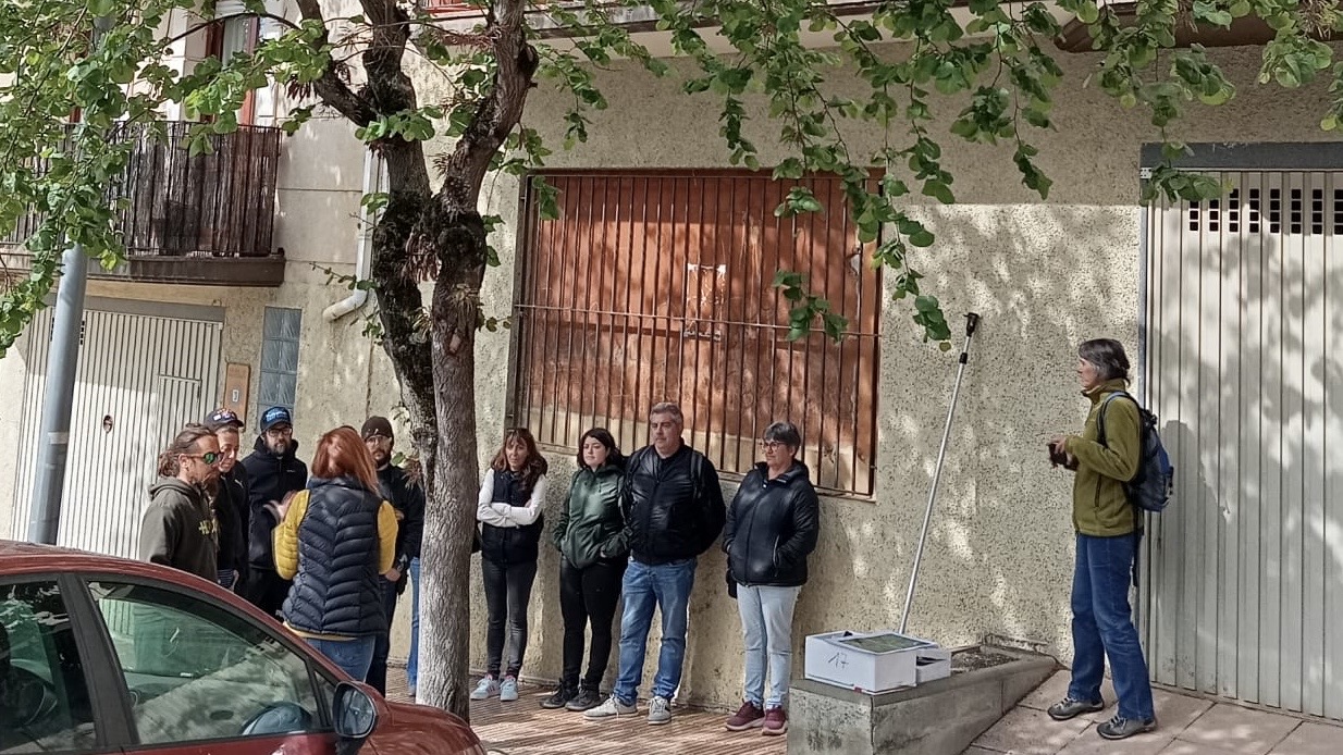 Sabiñánigo, con la lucha biológica contra las plagas de su arbolado